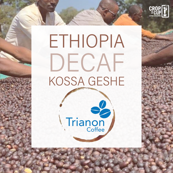 Ethiopia Decaf Kossa Geshe | Locally Roasted in Austin | Fast Shipping – Trianon Coffee